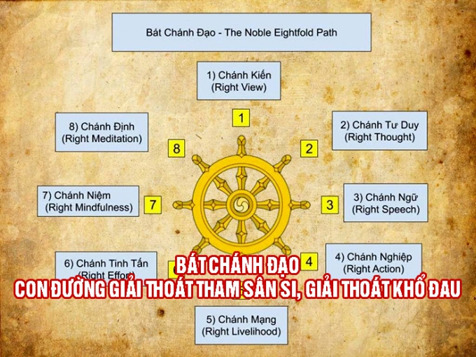 Bát chánh đạo, con đường giải thoát tham sân si, giải thoát khổ đau (P.2)